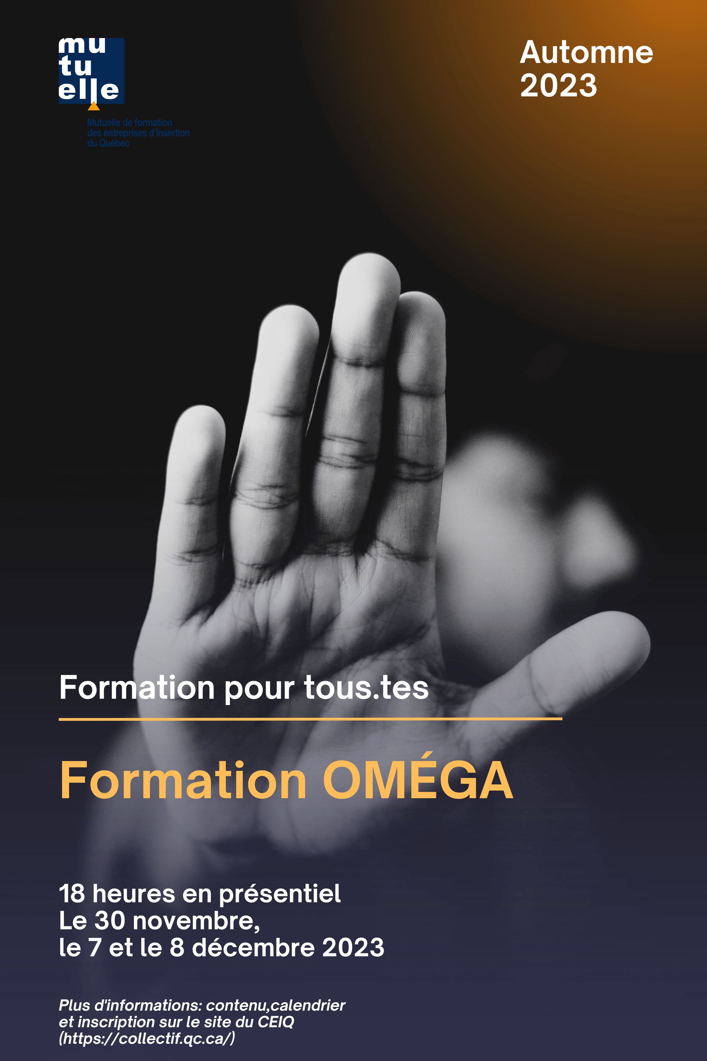 Formation pour tous.tes : Formation OMÉGA - CEIQ